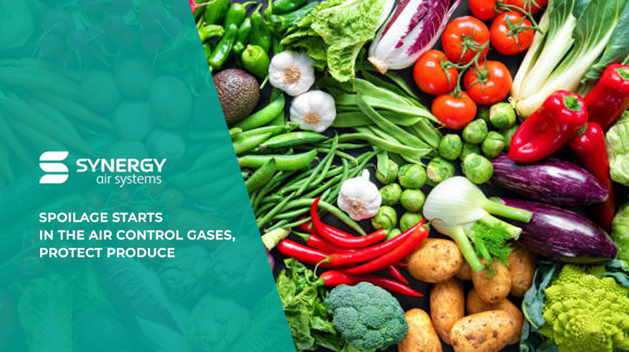 Cold Storage Gas Contamination & Ethylene Control